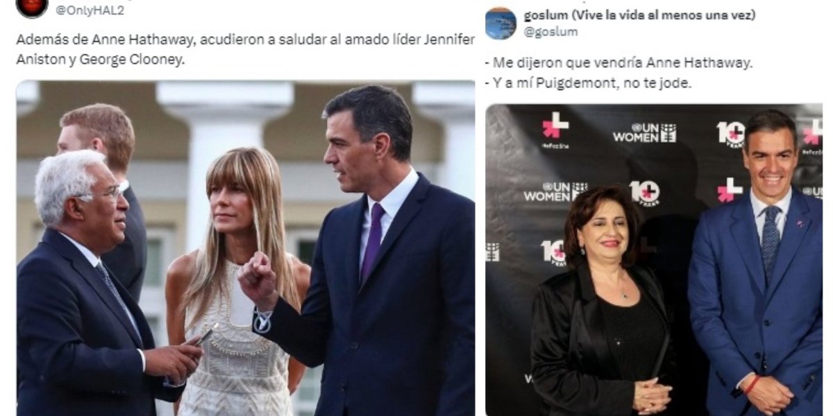 Memes Anne