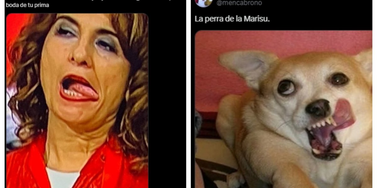 Memes. Marisu y su mascota