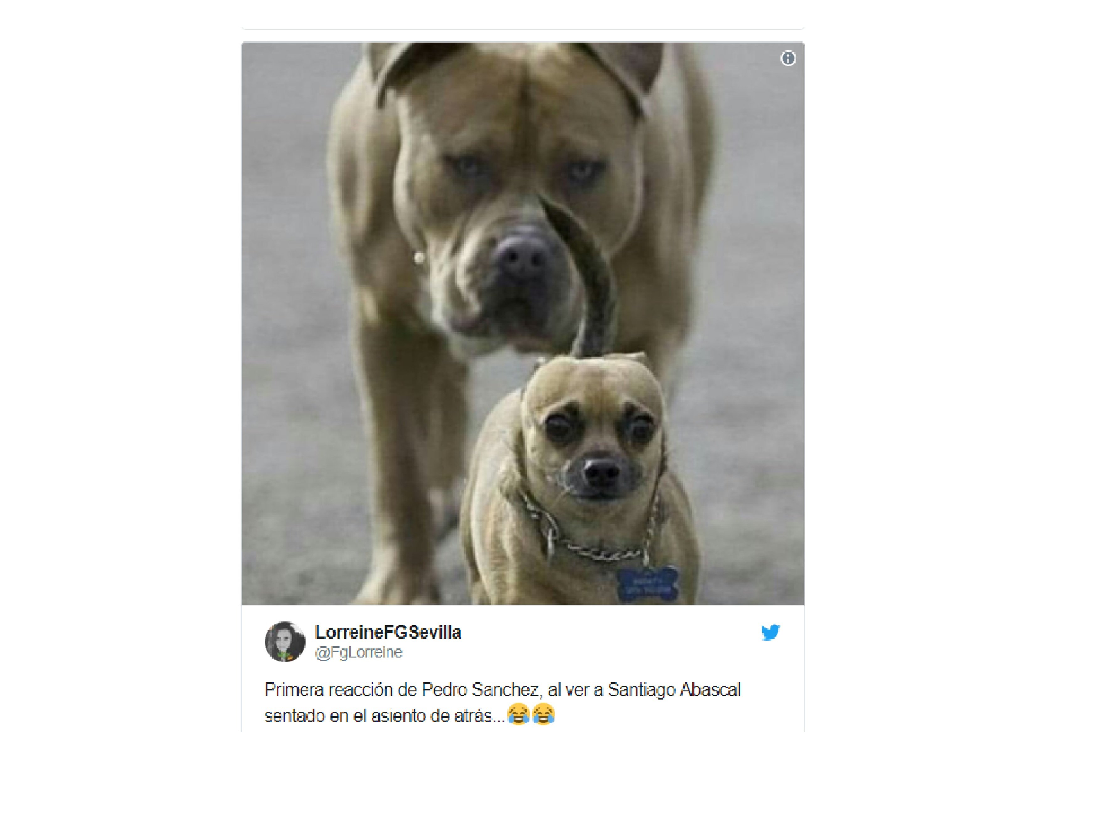 España en memes. El jaleo de los presos